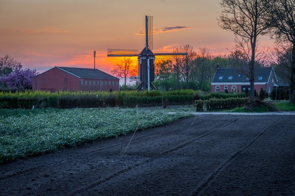 Zundert floreert door gebiedsgericht samenwerken – Gebiedsontwikkeling.nu